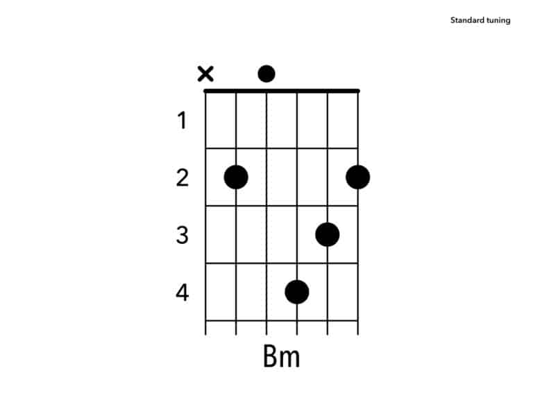 Bm Guitar Chord for Beginners - YourGuitarGuide.com